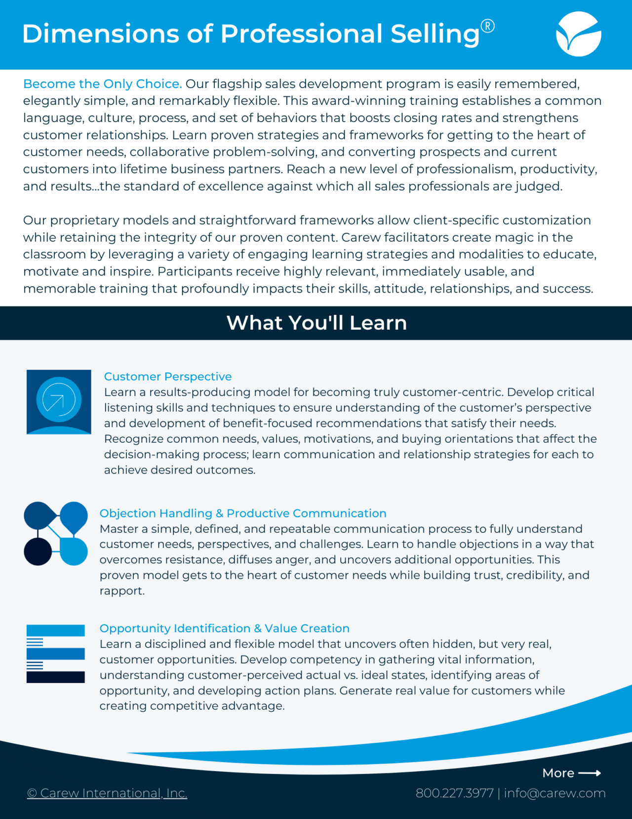 Program Overviews Archives - Carew Sales Training